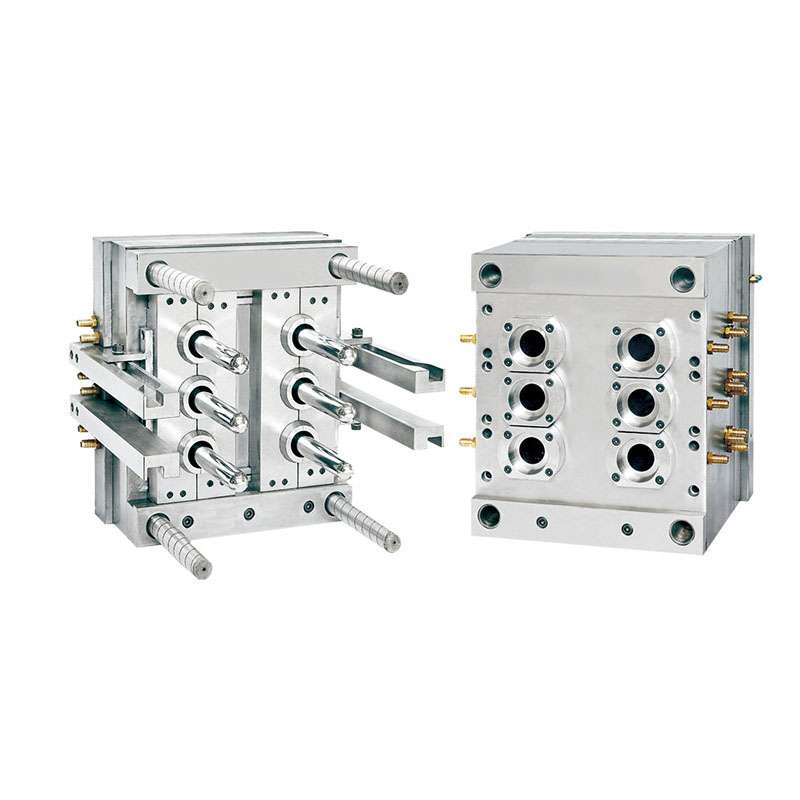 6-cavity pet preform mould - Preform Mould